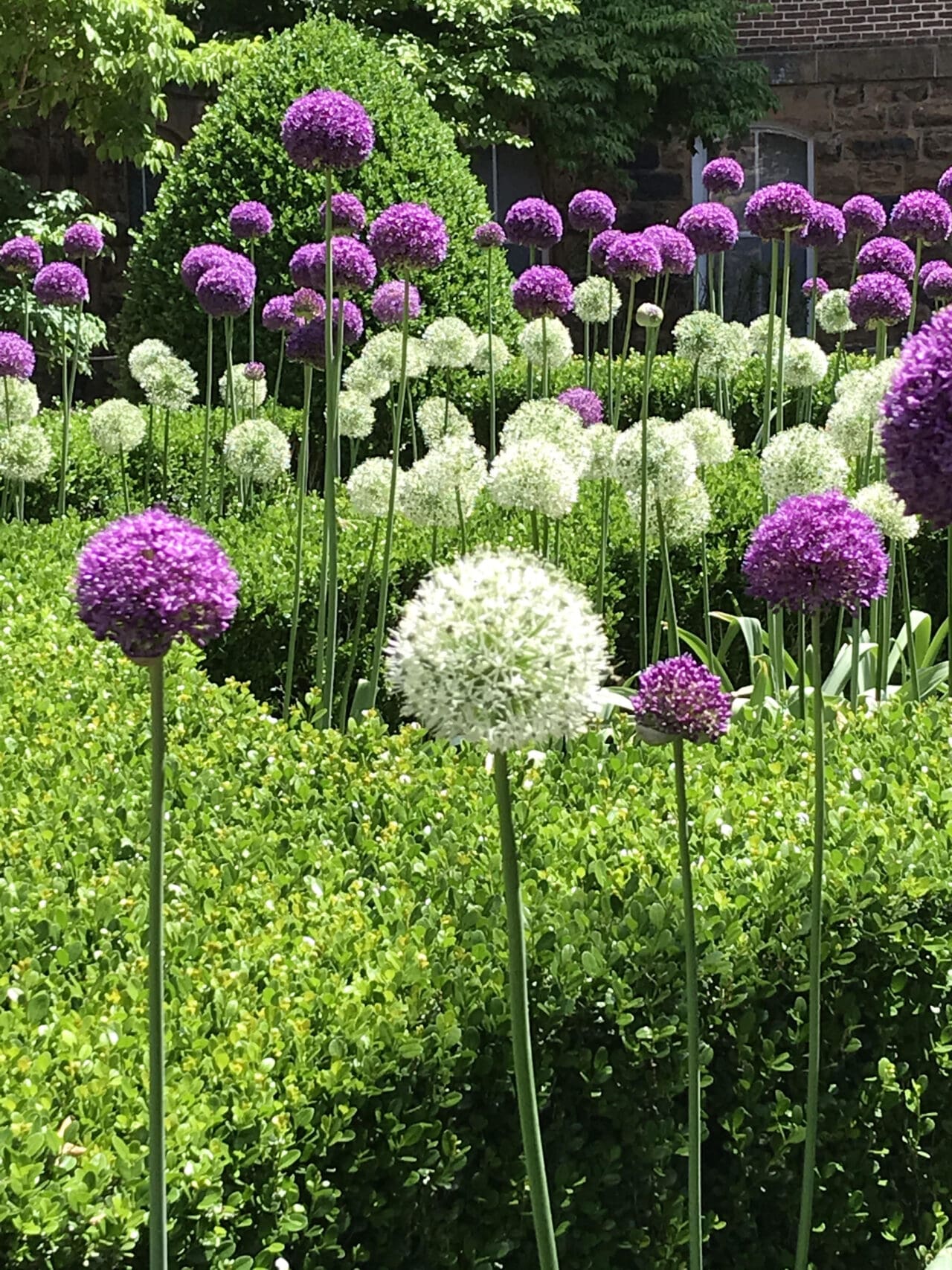 Gallery of Monthly Entries | Washington County Master Gardeners